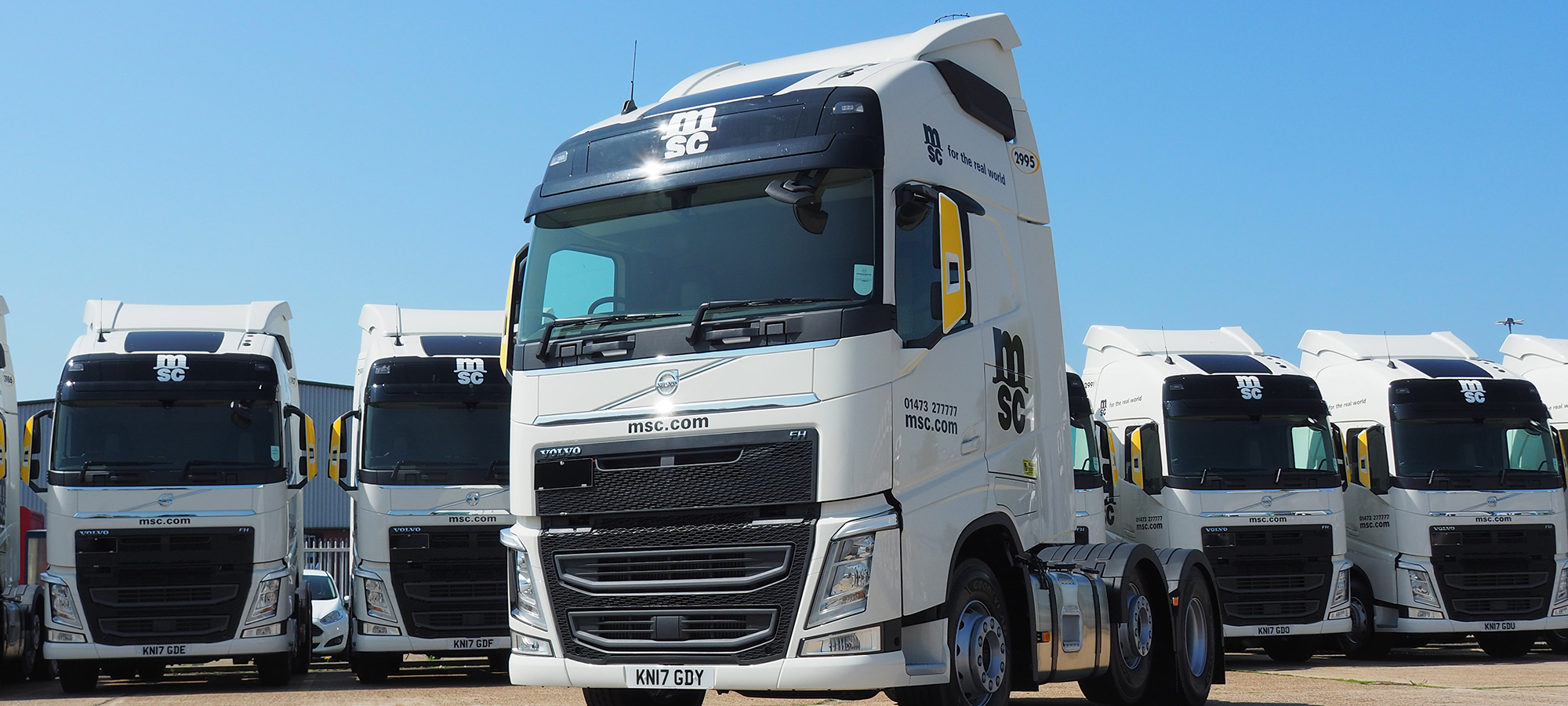 Maritime and MSC continue to grow